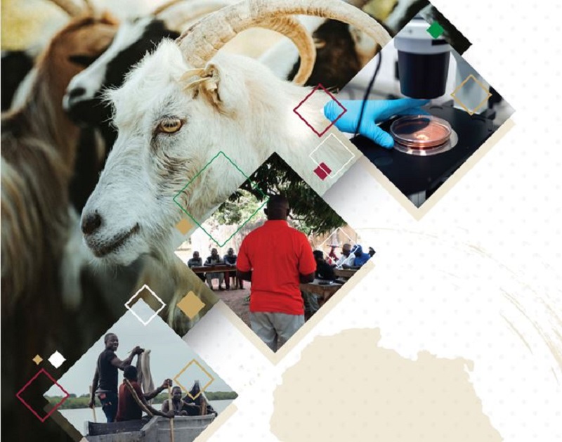 AU-IBAR’s 2024 Annual Report & Milestones | AU-IBAR